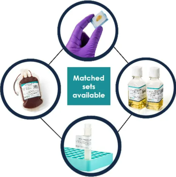 Tissues – Find high-quality biospecimens including tissues, blood and ...